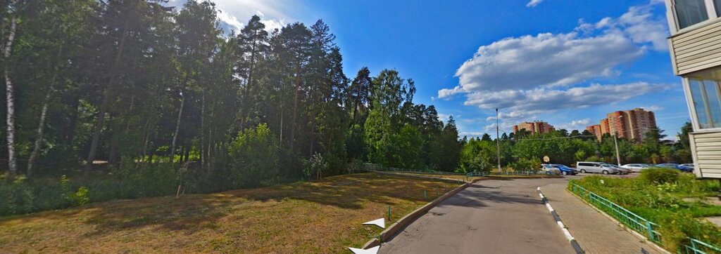 Orman Lower Komitetsky Forest, Koroliov, foto