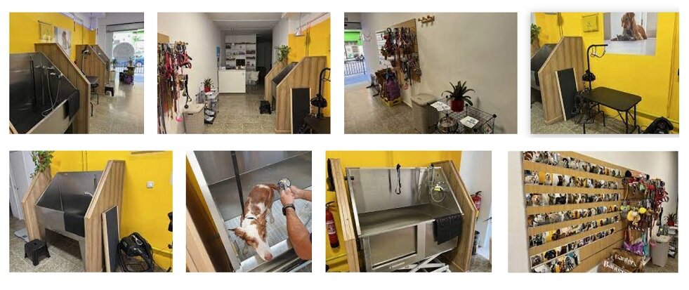 Evcil hayvan kuaförleri Autolavado y Peluquería Canina Chester, Malaga, foto
