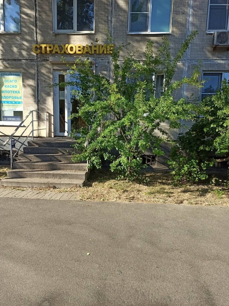 Sigorta şirketleri Согаз-Мед, Saint‑Petersburg, foto