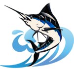 Big Fish Agency (Плеханівська вулиця No:18), i̇nternet pazarlama şirketi  Harkiv'den