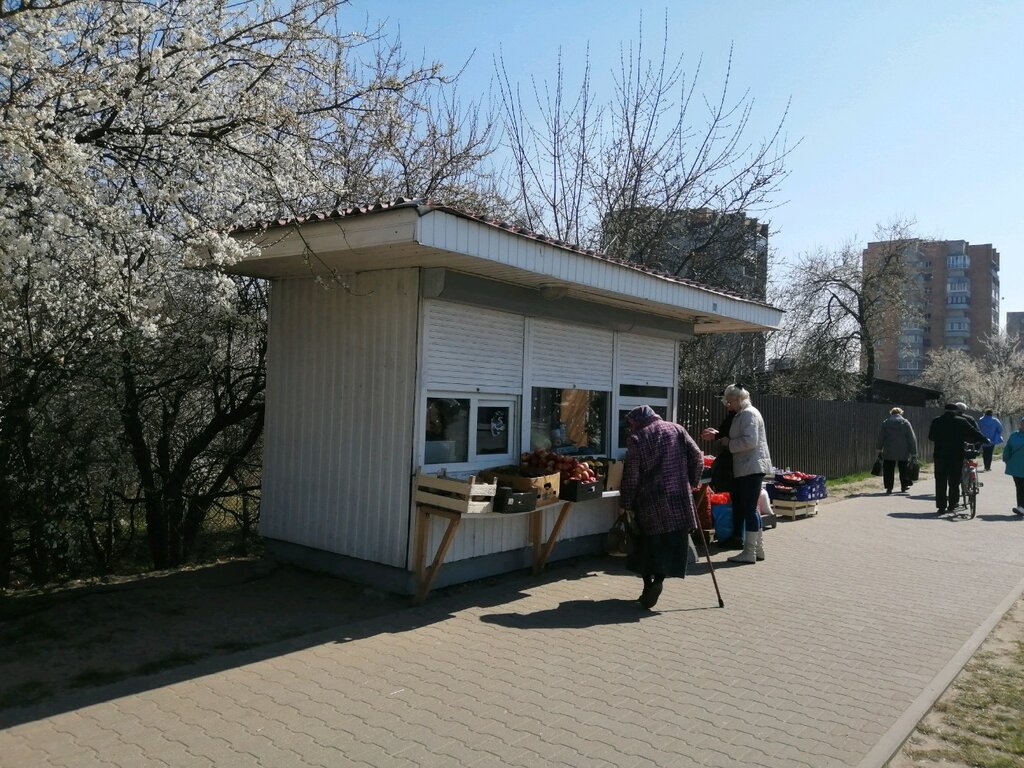 Manavlar Овощи и фрукты, Brest, foto
