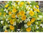 Blumen Christa Rubenzucker (Rinnholzplatz No:2, Gmunden), çiçek teslimatı  Gmunden'den