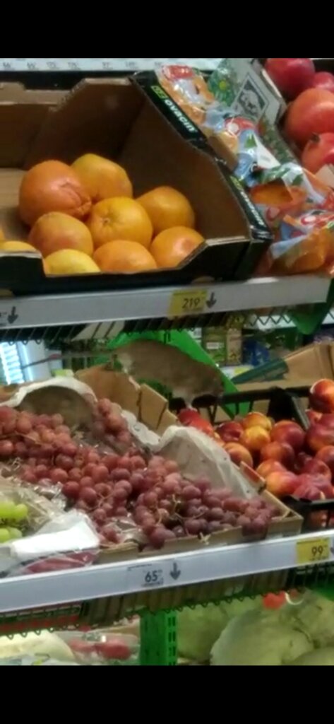 Süpermarket Pyatyorochka, Krasnodarski krayı, foto