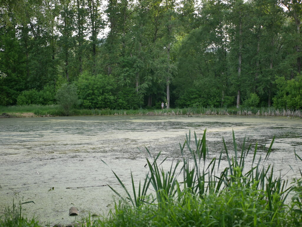 Su ve kanalizasyon idaresi Пруд Пятачок, Moskova, foto