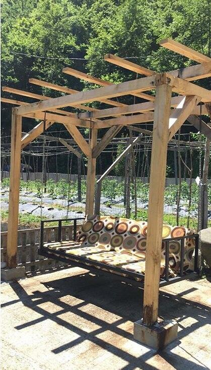 Otel Ataman Marina Ve Konaklama, Borçka, foto