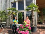 Blumen Joos GmbH (Thurgau, Frauenfeld, Lommiserstrasse), çiçek teslimatı  Thurgau'dan