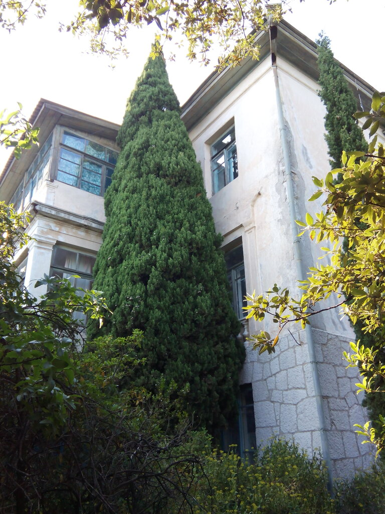 Turistik yerler Дача В.Д. Паршиной, Kırım Cumhuriyeti, foto