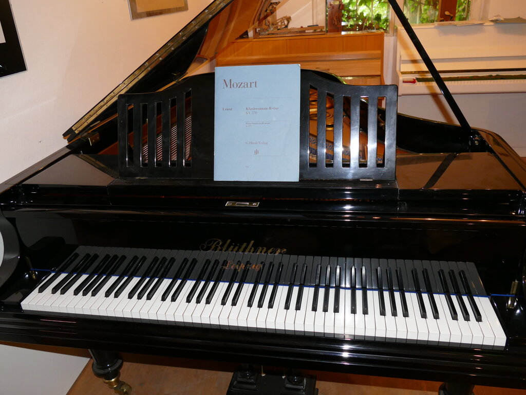 Müzik enstrumanların tamiri Piano Hall Klavier & Flügel Reparatur und Restauration München, Münih, foto