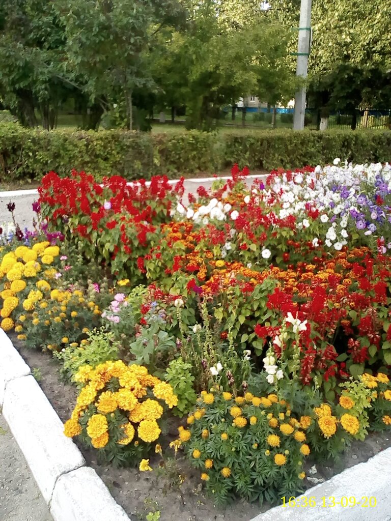 Anaokulları Детский сад № 75 Радуга, корпус № 3, Cheboksary, foto