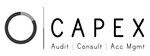 Capex Auditing (Exchange Tower, Business Bay, Dubai), mali denetleme şirketleri  Dubai'den