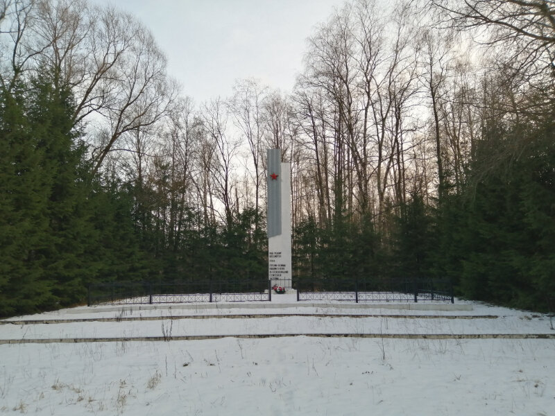 Anıt, heykel Обелиск в память о подвигах советских воинов, Ida‑Viru Vilayeti, foto