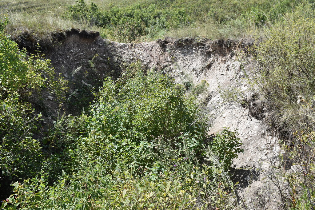 Doğa Зобовское карстовое поле, Orenburgskaya oblastı, foto