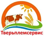 Tverplemservis (No:15с1, derevnya Avvakumovo), hayvancılık  Tverskaya oblastından
