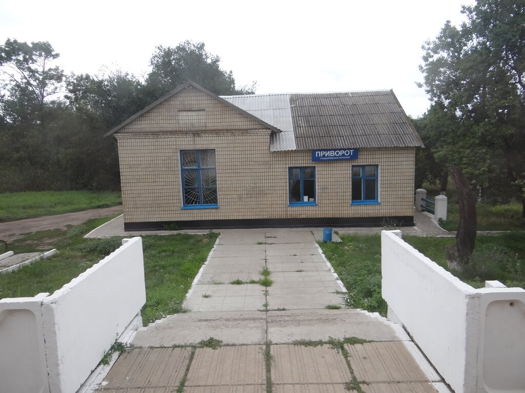 Tren istasyonu станция Приворот, Dnepropetrovsk Bölgesi, foto