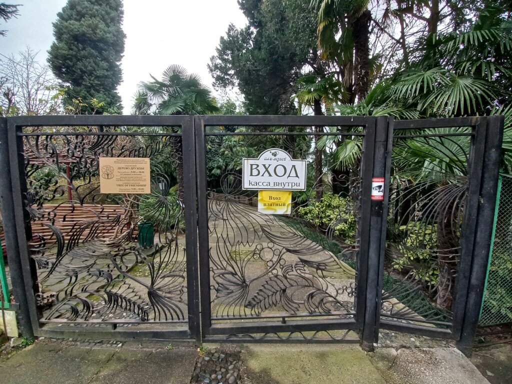 Kültür ve eğlence parkları Сад-музей Дерево Дружбы, Soçi, foto