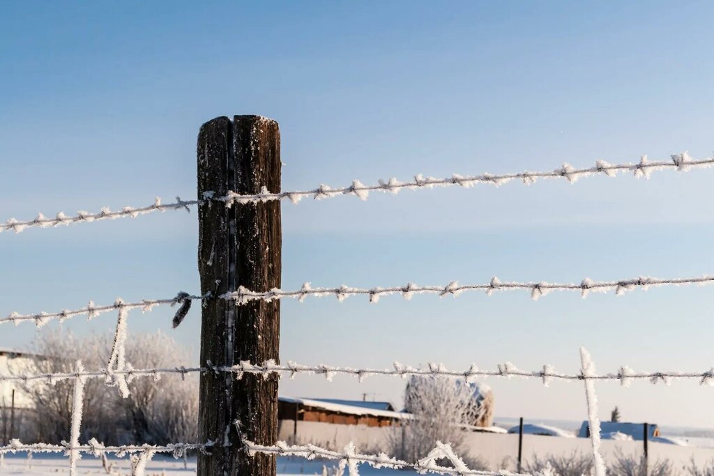 Çitler, parmaklıklar Albuquerque Fence Company, Albuquerque, foto