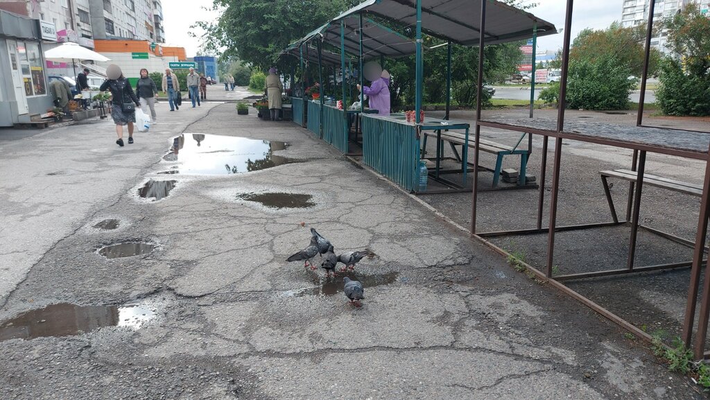 Pazarlar ve çarşılar Социальный рынок, Novokuznetsk, foto