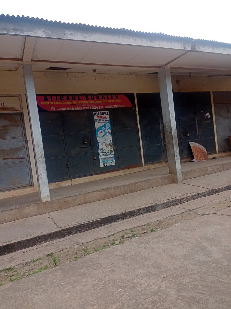 Temizlik teknolojileri firmaları Alicare bubbles, Dünya, foto