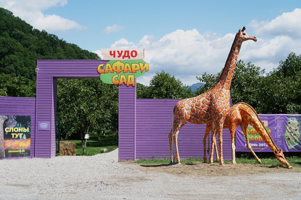 Hayvanat bahçeleri Chudo Safari Sad, Soçi, foto