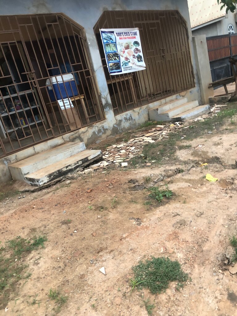 Dondurulmuş gıda firmaları Daavi, Dünya, foto