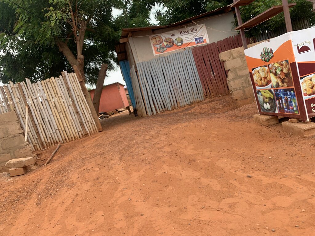 Bar Rose Bio Pub & Bar, Dünya, foto