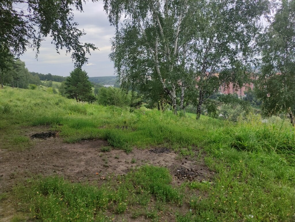 Piknik alanı Место для пикника, Novosibirsk, foto