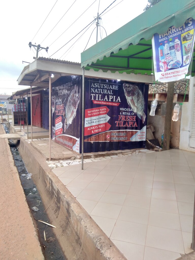 Soğuk hava tesisi Asutsuare natural tilapia, Dünya, foto