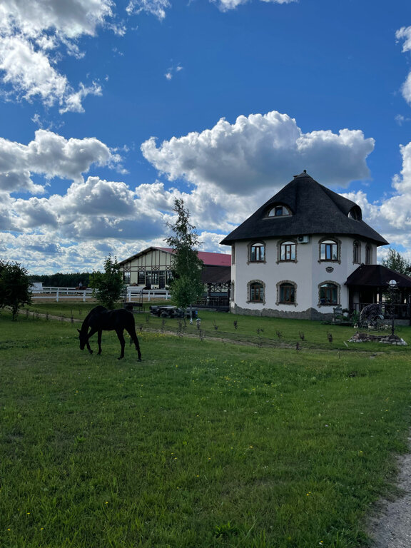 At ve binicilik kulüpleri Vorontsovo Equestrian Club, Moskova ve Moskovskaya oblastı, foto
