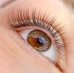 Lashbrow studio (Selskokhozyaystvennaya Street No:38к1), güzellik salonu  Moskova'dan