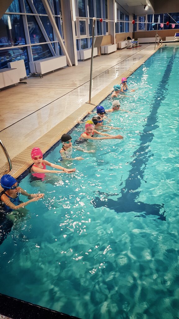 Spor kulüpleri Swim school, Irkutsk, foto