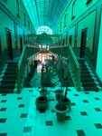 Shark (Vostochnaya ulitsa No:3, derevnya Bashkova), otel  Tümen (Tiumenskaya) oblastından
