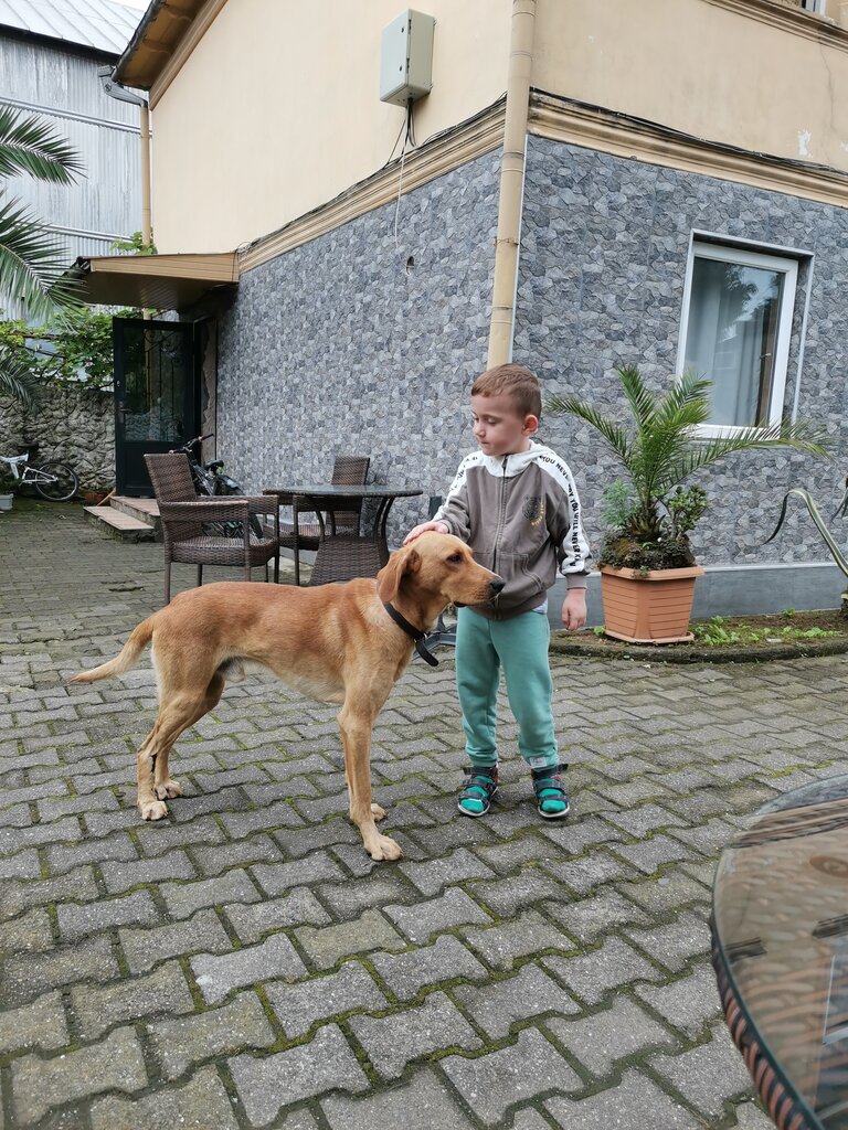 Otel Hotel Goga, Batum, foto