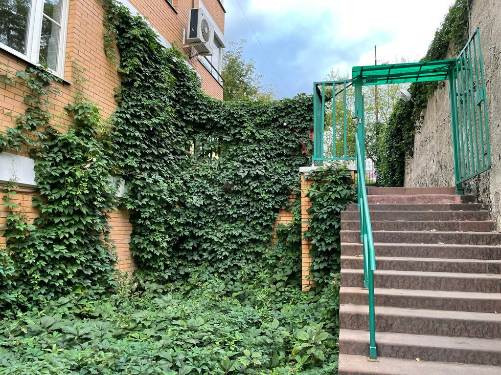 Eksper büroları Alma Consult, Moskova, foto