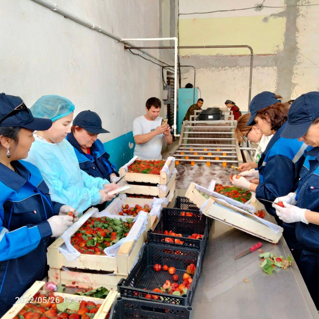 Gıda malzemeleri ve baharatlar Soyuzsnab, Fergana, foto