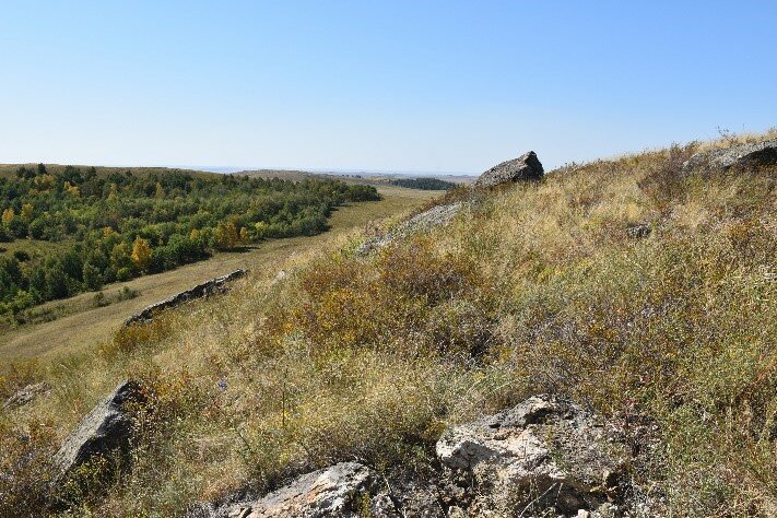 Doğa Ландшафтный памятник природы на западной стороне Урочище Степной маяк, Orenburgskaya oblastı, foto