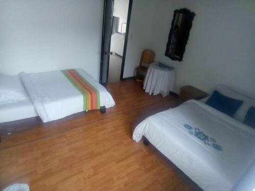 Pansiyonlar, hosteller Palm Tree Hostal Medellin, Medellin, foto