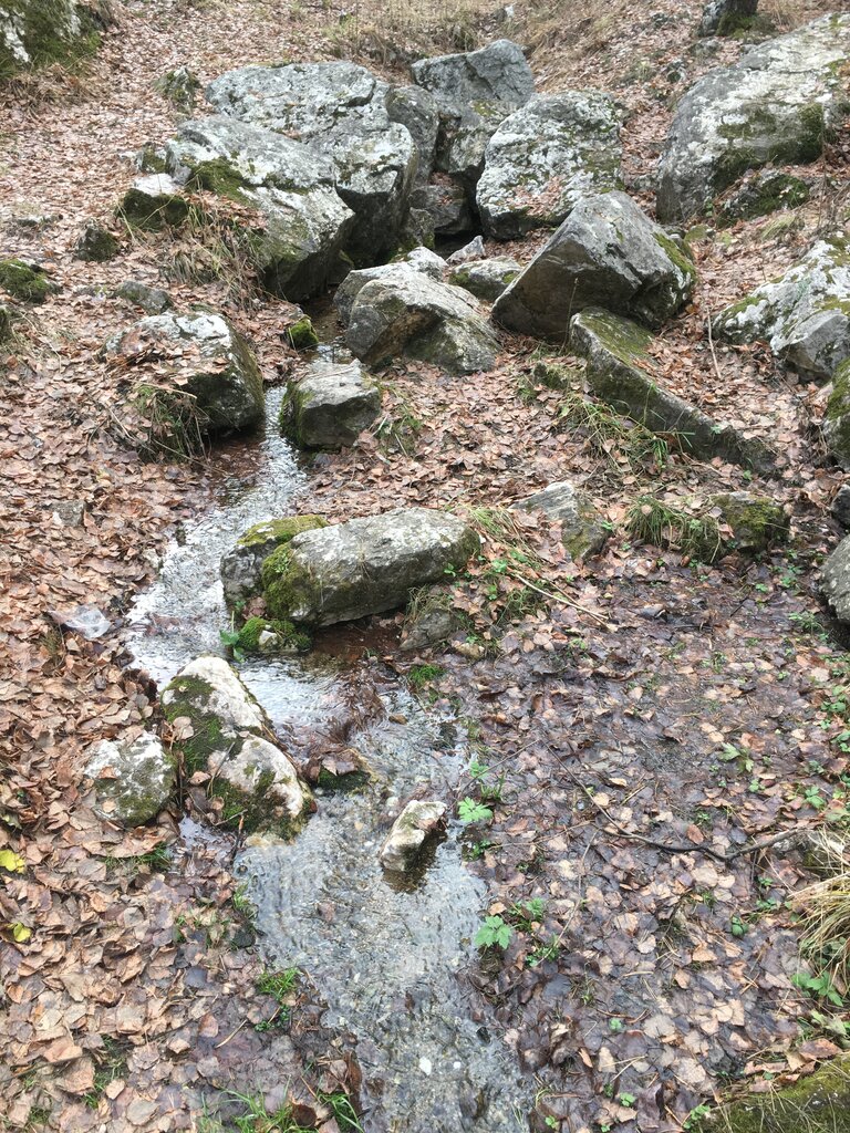 Pınar, çay Spring, stream, Çeliabinskaya oblastı, foto