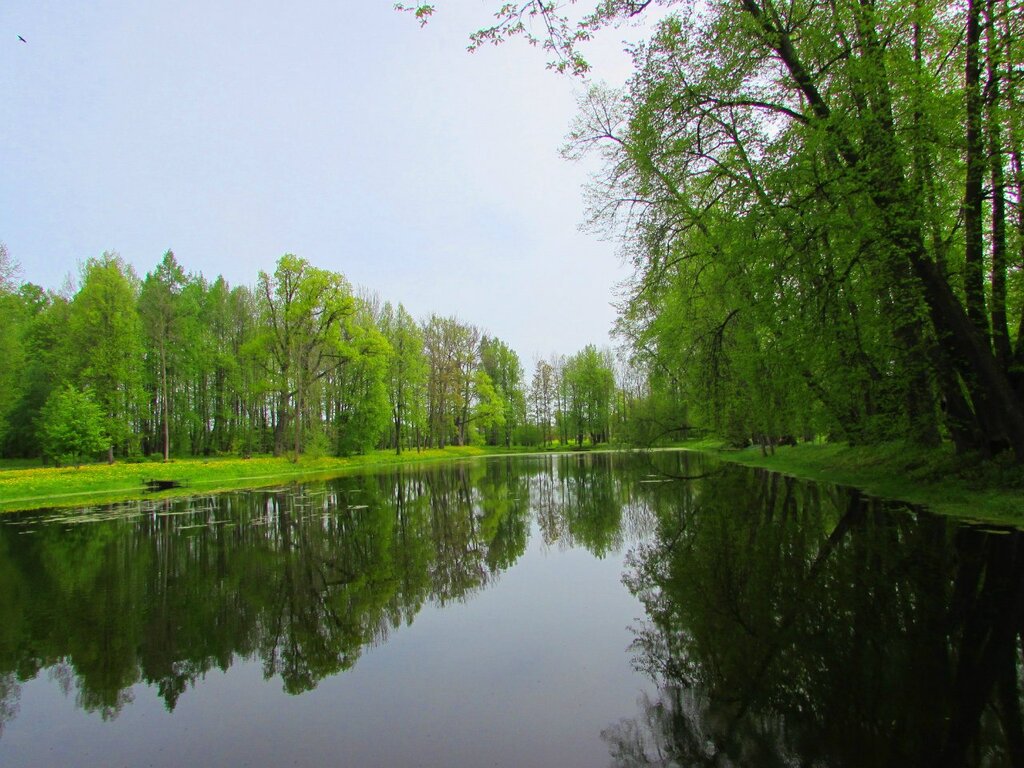 Meydan Парк усадьбы Обольяниновых-Сазиковых Дубцы, Novgorodskaya oblastı, foto
