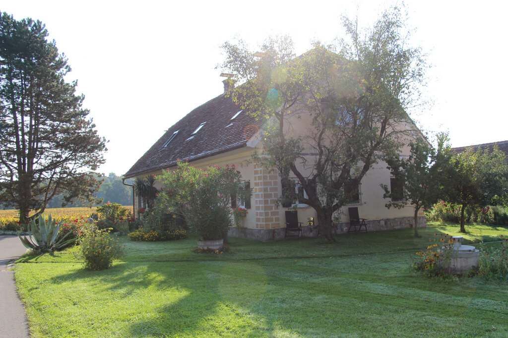 Şarap ve içki toptan satışları Weingut Pock, Steiermark, foto