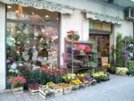 Fiori Angolo Verde (Campania, Salerno, Via Settimo Mobilio, 11), çiçek teslimatı  Salerno'dan