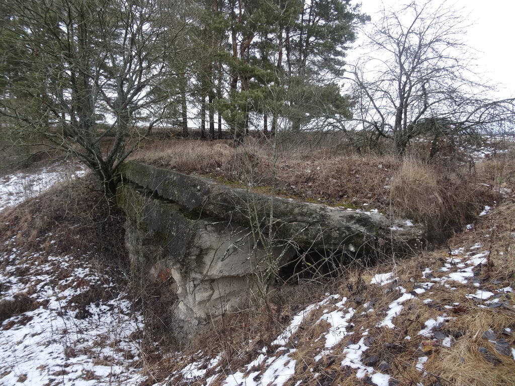 Unutulmaz olayların yeri Разбитая долговременная замаскированная огневая точка, Brianskaya oblastı, foto