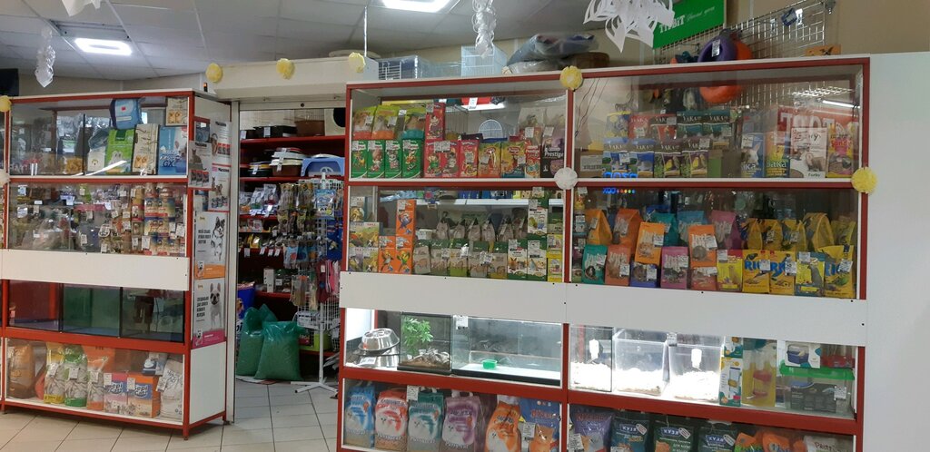 Petshop Zoosfera, Yaroslavl, foto