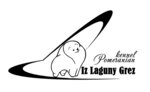 Pomeranian kennel Iz Laguny Grez (No:135, SNT Mayak), evcil hayvan yetiştiricileri  Krasnodarski krayından