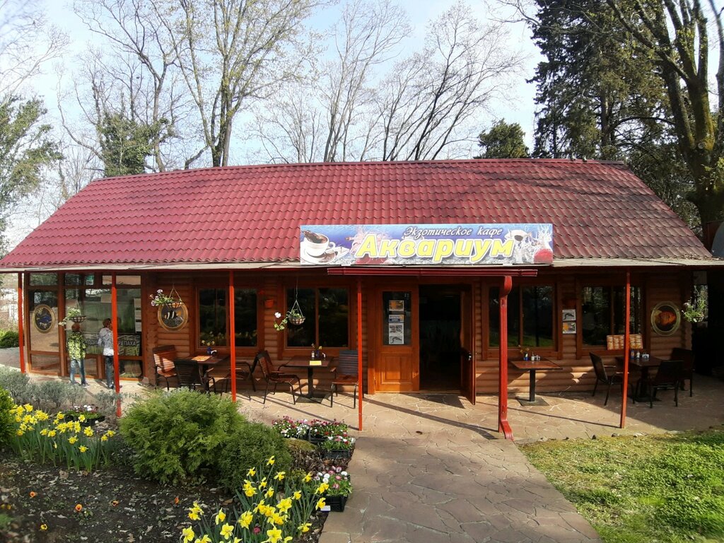Kafe Аквариум, Soçi, foto