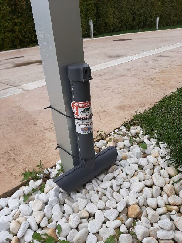 Haşere ilaçlama firmaları Impresa di Pulizie Sole, Lecce, foto