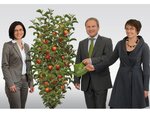 Optima Die Steuerberater GmbH (Upper Austria, Kirchdorf an der Krems, Dr. Gaisbauer-Straße, 4), mali denetleme şirketleri  Yukarı Avusturya'dan