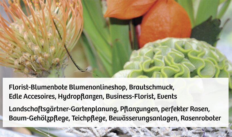 Çiçek teslimatı Haedi-Flor Meisterbetrieb, Leipzig, foto