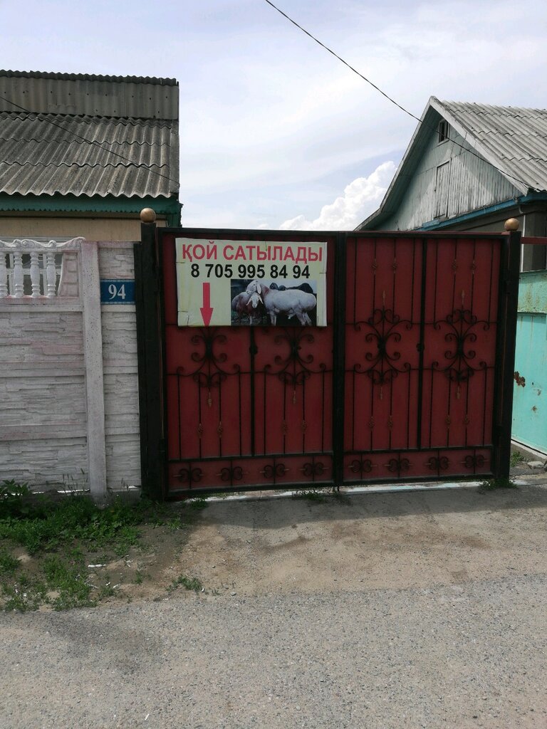 Yem ve yem katkı maddeleri Корм, Taraz, foto