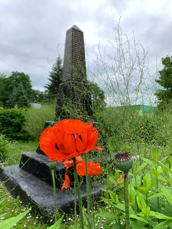Turistik yerler Усадебно-парковый ансамбль Гребницких, Vitebskaya oblastı, foto