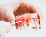 Studio Odontoiatrico Garofoli Vito (Apulia, Barletta-Andria-Trani, Trani, Bisceglie), özel ağız ve diş sağlığı klinikleri ve muayenehaneleri  Bisceglie'den